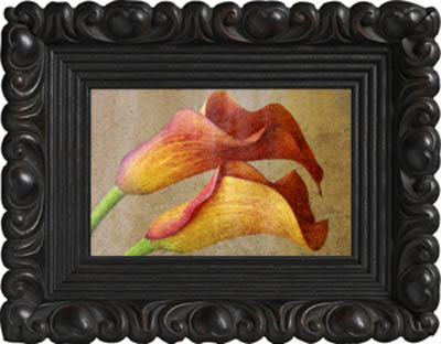 wwwJanClarkDesigns.com|Jan Clark(239)694-5868|Floral Designer|designer ...